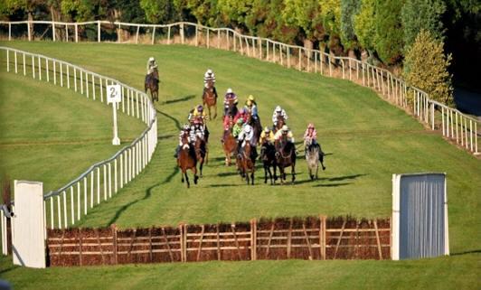 Clonmel Racecourse, CLONMEL, Tipperary | Pub info @ Publocation